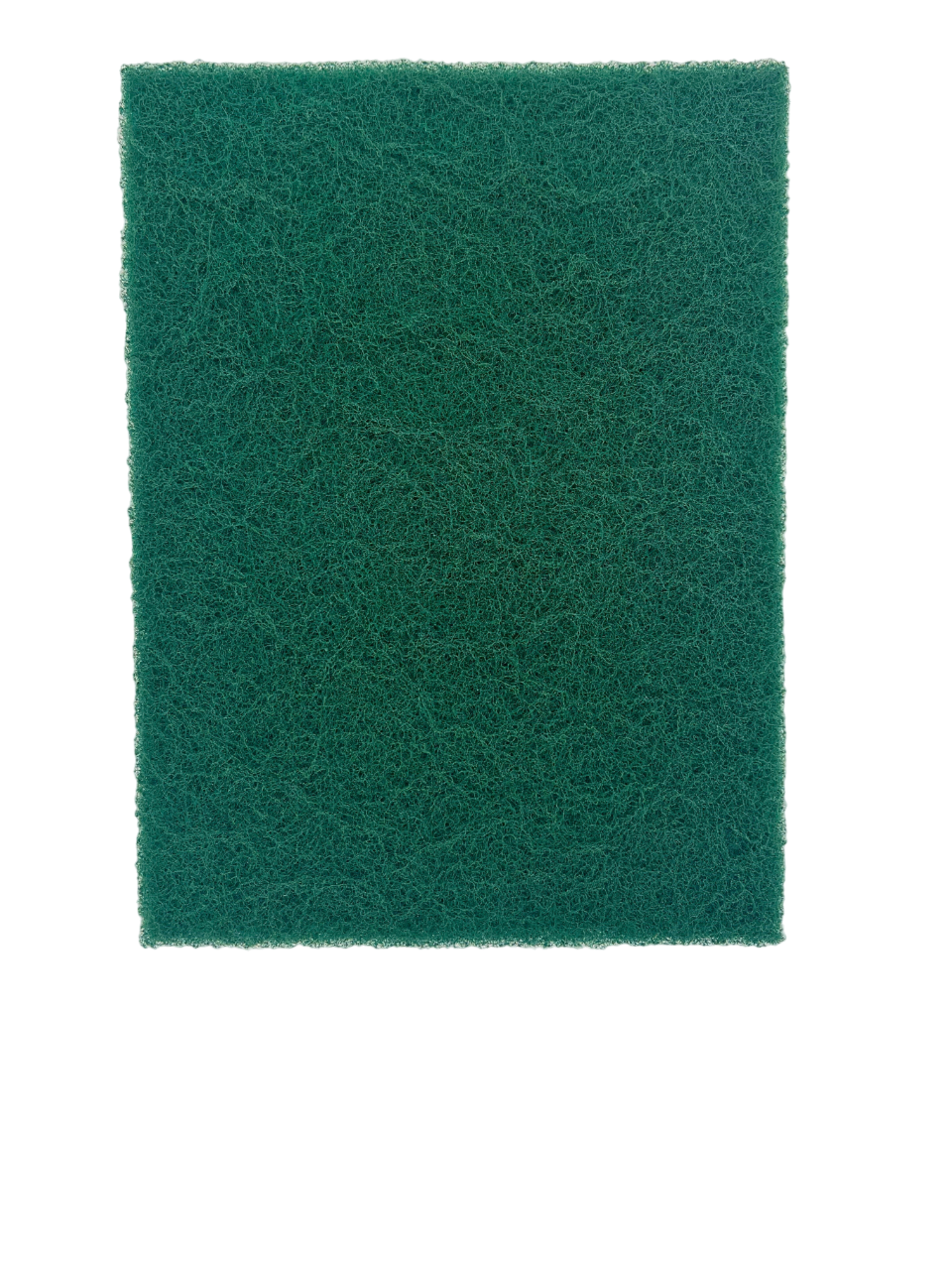 Green Scouring Pad - Heavy Duty — Mainland Chroma